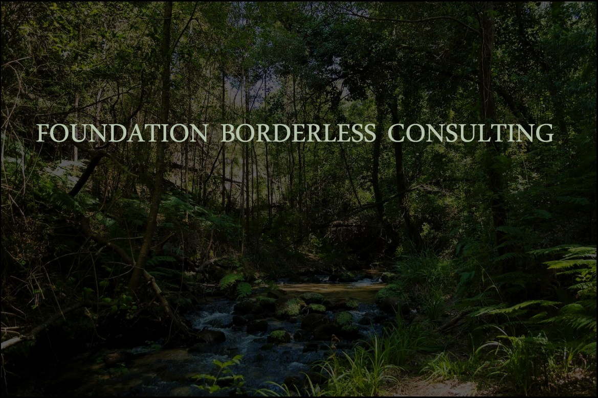 Foundation Borderless Consulting - Foundation Borderless Consulting